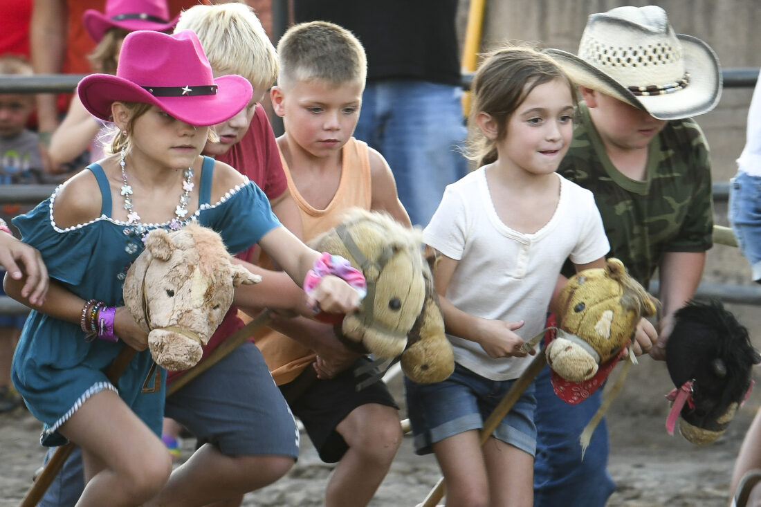 Fun at the Lycoming County Fair | News, Sports, Jobs - Muncy Luminary